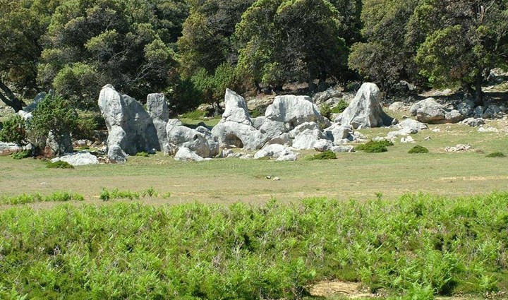 Sights of nature of the island of Rab in Croatia