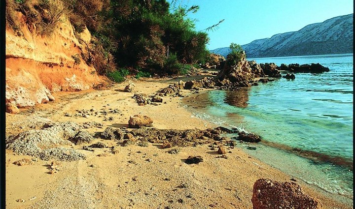Pudarica beach on the island of Rab in Croatia