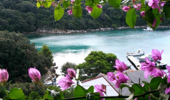 Suha punta beach on the island of Rab in Croatia